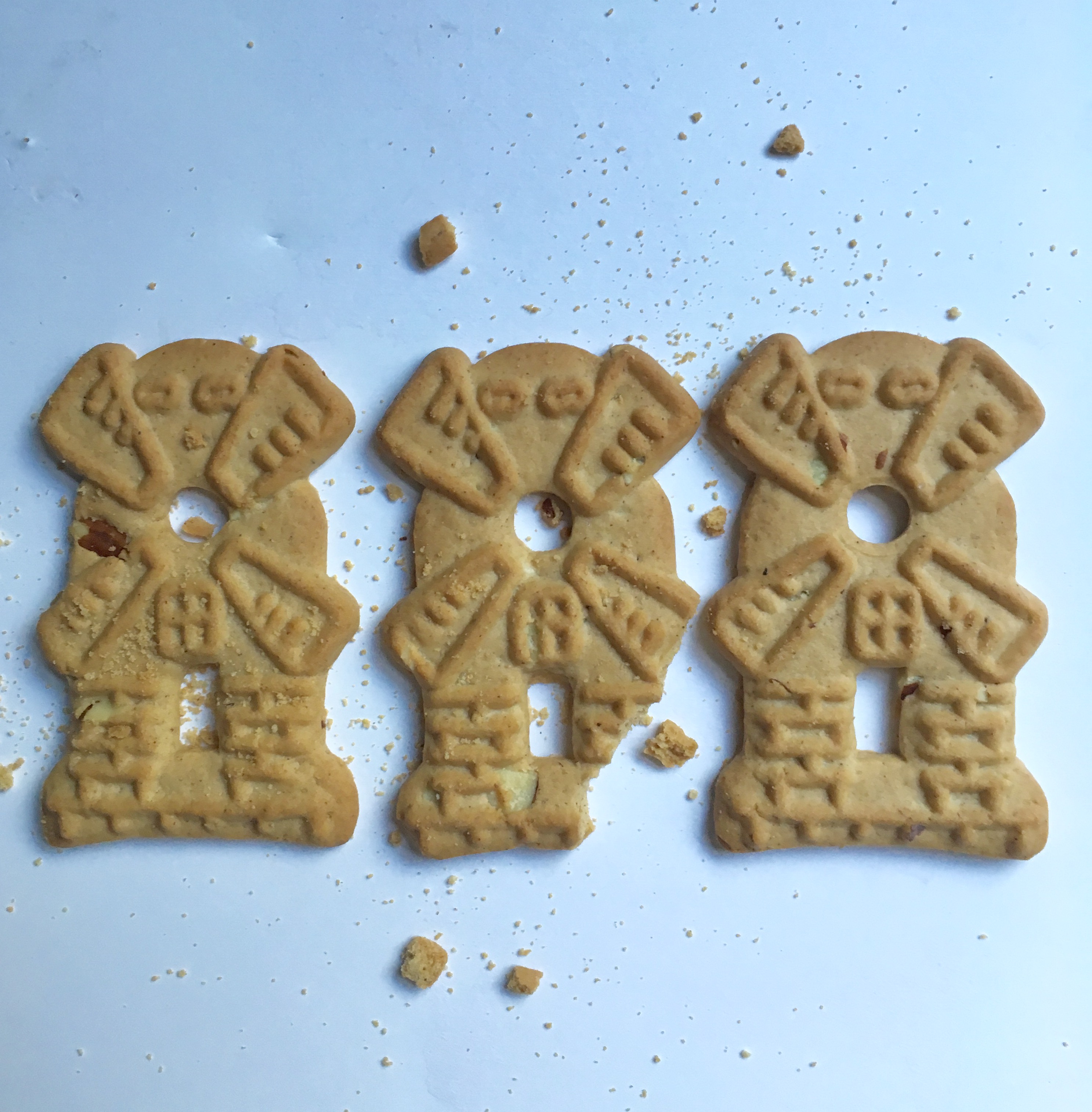 Windmill Cookies… – Camellia's Cottage