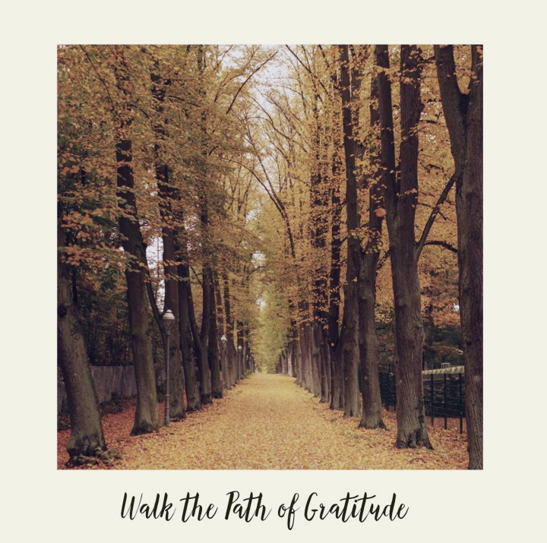 Walk the Path of Gratitude… – Camellia's Cottage